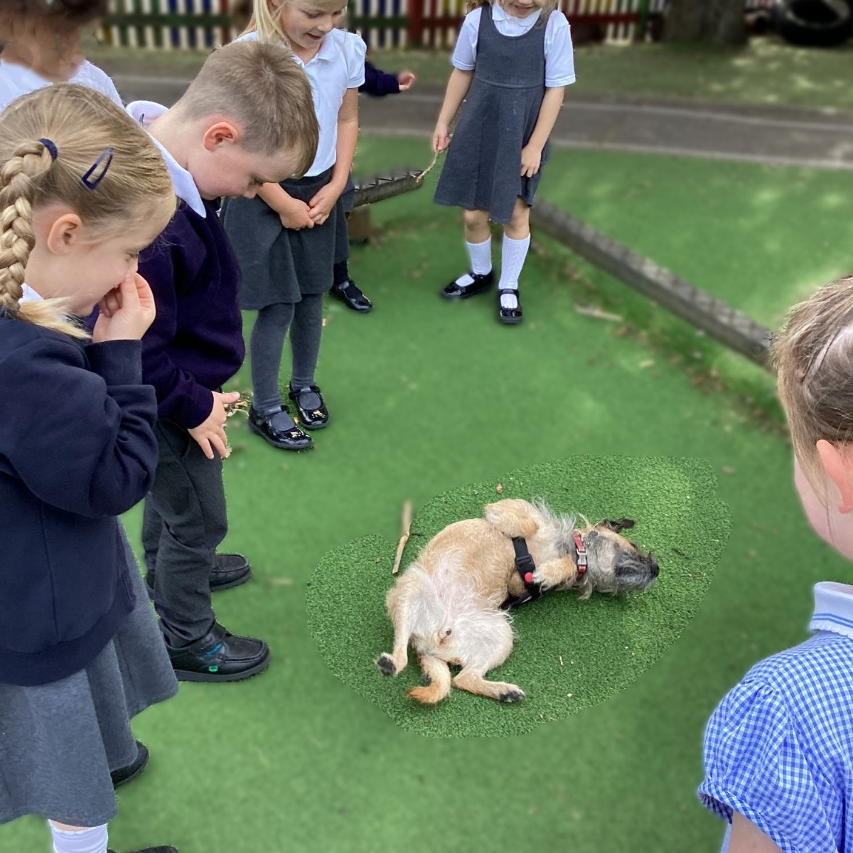 Chilton Primary School - Weekly news 03.11.23